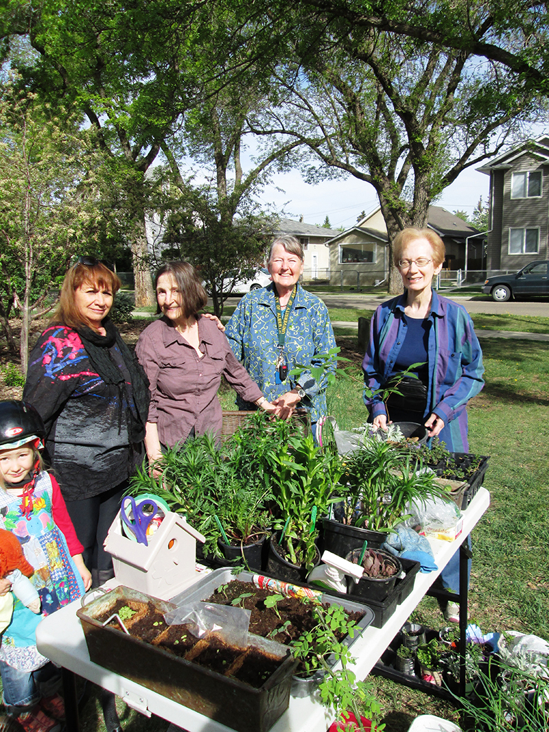 Plant Exchange A Success – Boyle McCauley News