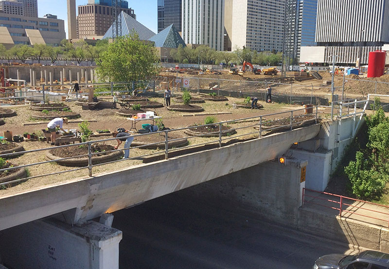 What Happened to the LIVINGbridge? – Boyle McCauley News